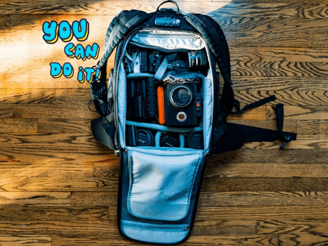 Large-bag GIFs - Get the best GIF on GIPHY