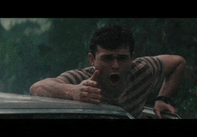 Beautiful Creatures GIFs - Find & Share on GIPHY