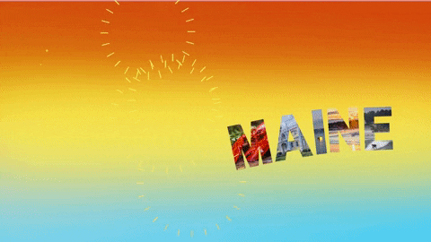 Bruce-springsteen-album-covers GIFs - Get the best GIF on GIPHY