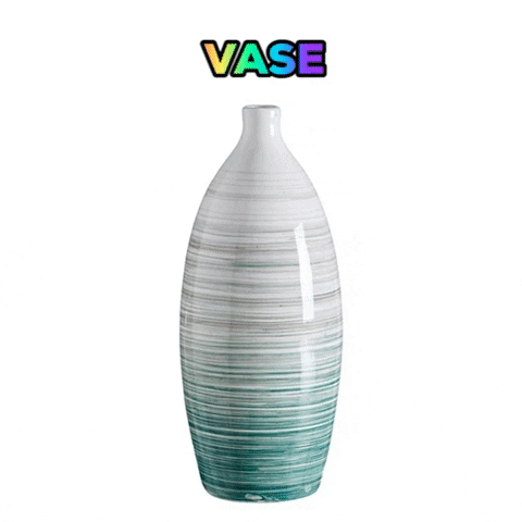 Vase GIFs - Get the best GIF on GIPHY