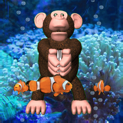 Monkey Yes GIF - Find & Share on GIPHY