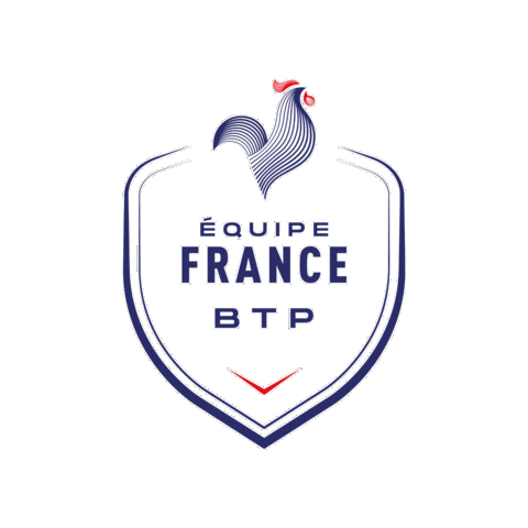 Équipe de France BTP GIFs on GIPHY - Be Animated