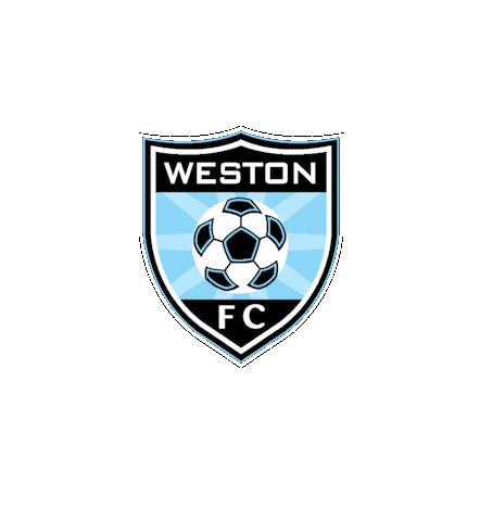 Weston FC GIFs on GIPHY - Be Animated