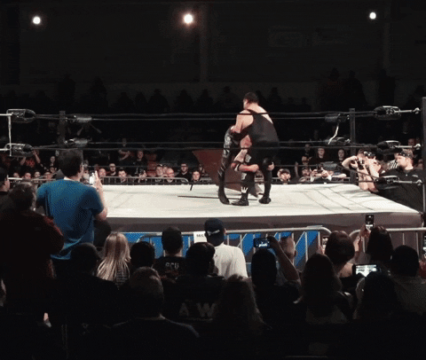 Jerry Lawler Pile Driver GIF by SUPER LTD - Find & Share on GIPHY