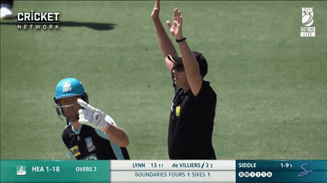 Cricket Gif