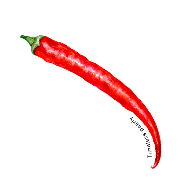 Pepper Chilli Sticker by Timeless Pearly for iOS & Android | GIPHY