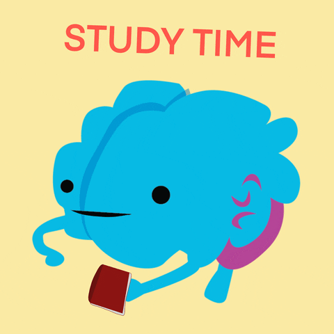 Studying Animated Gif