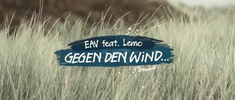 Gegen Den Wind GIFs - Get the best GIF on GIPHY
