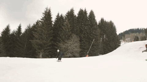 Crash Fail GIF by Nidecker Snowboards - Find & Share on GIPHY