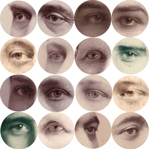 Shifting-eye-grid GIFs - Get the best GIF on GIPHY