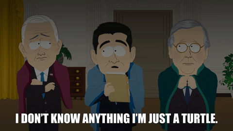 Awkward Turtle Animated Gif