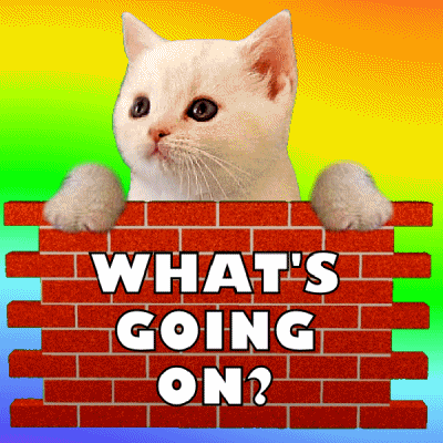 Waz Up GIFs - Get the best GIF on GIPHY