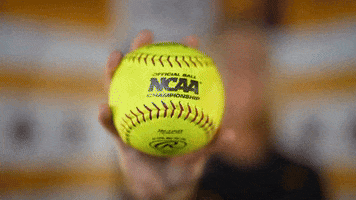 LoyolaRamblers GIFs on GIPHY - Be Animated