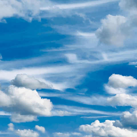 Flair Air GIFs - Find & Share on GIPHY