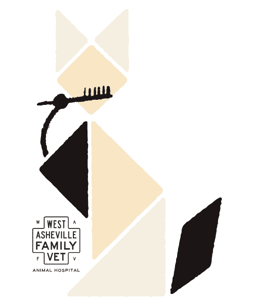 Family Vet Group GIFs on GIPHY - Be Animated