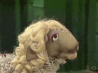 Sheep Baa Gif