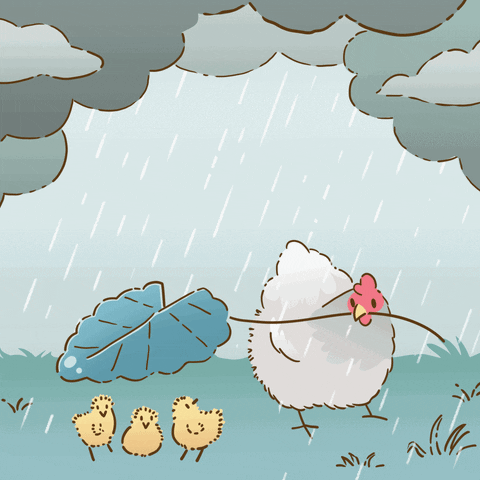 Baby Chickens GIFs - Get the best GIF on GIPHY