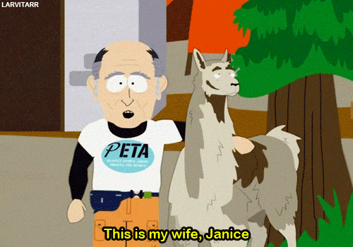Peta GIFs - Get the best GIF on GIPHY