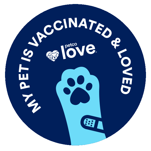 Pet Vaccine Awareness GIFs on GIPHY - Be Animated