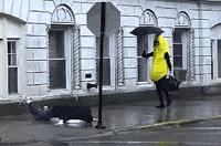Banana Man Gif