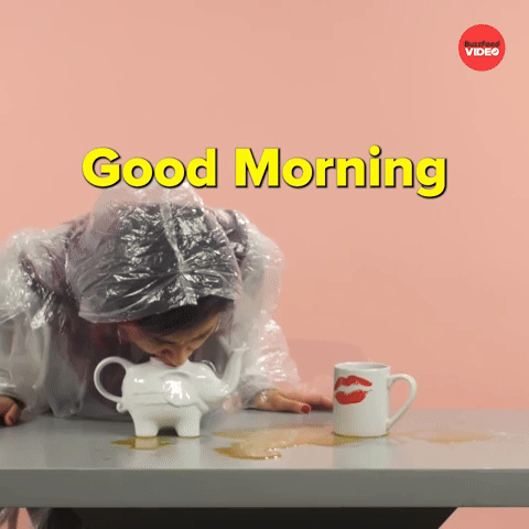 Morning Team Clips - Find & Share on GIPHY