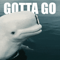 Byeeeeeeeeee GIFs - Find & Share on GIPHY