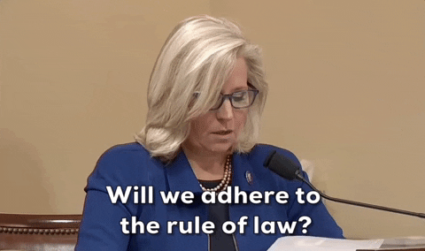 Will We Adhere To The Rule Of Law GIFs - Get the best GIF on GIPHY