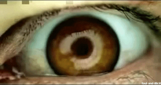 OT, Clubbing Stories - - RealGM