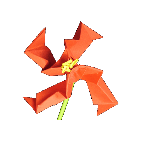 Flower 花 Sticker for iOS & Android | GIPHY