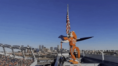 Broncos GIFs on GIPHY - Be Animated