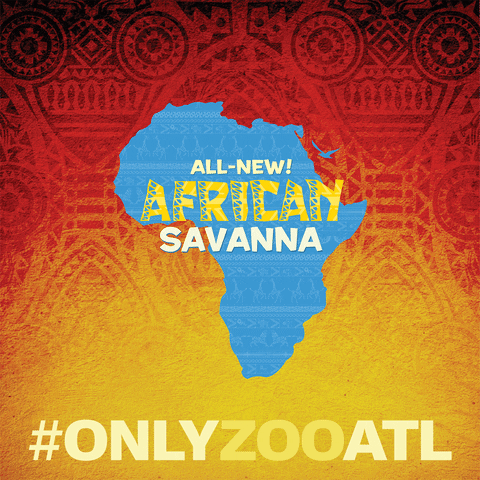 African-savanna GIFs - Get the best GIF on GIPHY