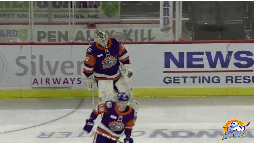 Hockey Skiing GIF by Orlando Solar Bears - Find & Share on GIPHY