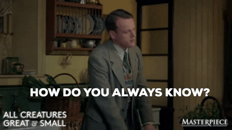 Knowing I Know GIF by MASTERPIECE | PBS - Find & Share on GIPHY