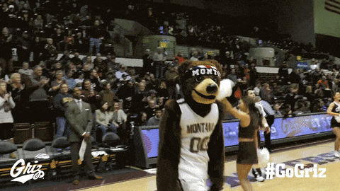 Basketball Monte GIF by Montana Grizzlies - Find & Share on GIPHY