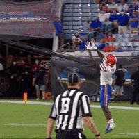 Video Games Dancing GIF by Florida Gators - Find & Share on GIPHY