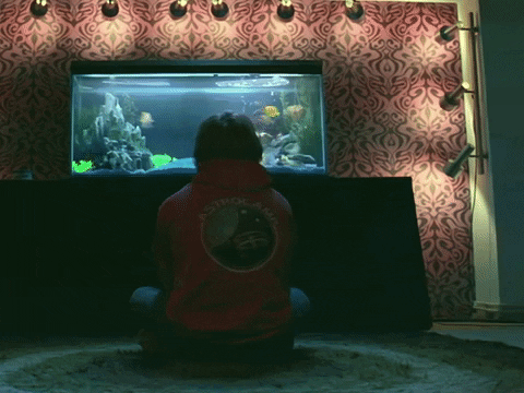 The Salmon Dance GIF by The Chemical Brothers - Find & Share on GIPHY