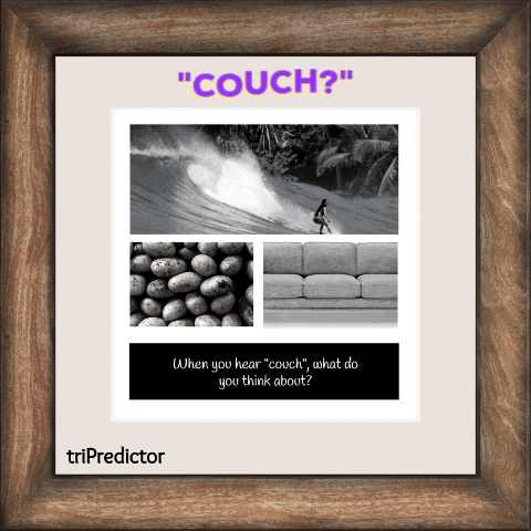 Couchsurfing-around-the-world GIFs - Get the best GIF on GIPHY