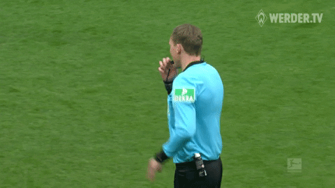 Germany Football GIF by SV Werder Bremen - Find & Share on GIPHY