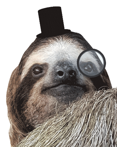 Sloth With Sunglasses Gif