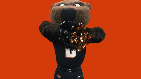 International-beaver-day GIFs - Get the best GIF on GIPHY
