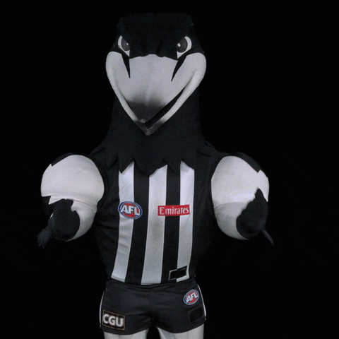 Collingwood-magpies GIFs - Get the best GIF on GIPHY