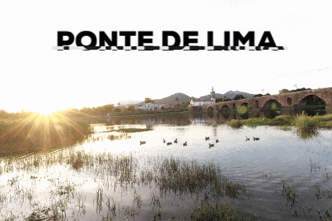 Ponte De Lima GIFs - Get the best GIF on GIPHY