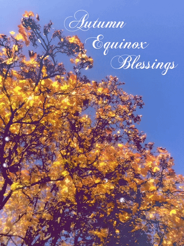 Autumn Leaves GIFs - Find & Share on GIPHY