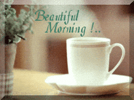Coffee Sugar GIFs - Get the best GIF on GIPHY