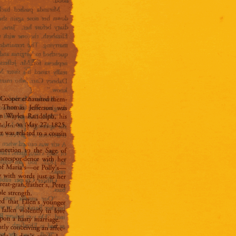 Peter Le GIFs - Get the best GIF on GIPHY