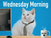 Morning-office GIFs - Get the best GIF on GIPHY