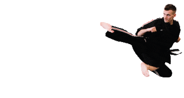 Adrenaline Martial Arts GIFs on GIPHY - Be Animated