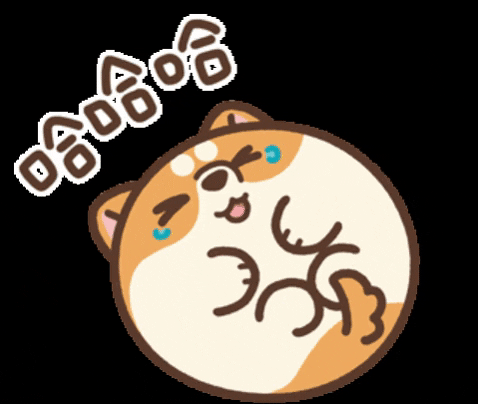 Laugh Shiba GIF by ACHTUNG - Find & Share on GIPHY