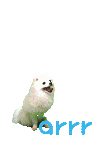 아르르 Sticker by arrr_official for iOS & Android | GIPHY