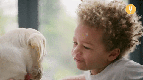 Science Of Cute GIFs - Get the best GIF on GIPHY